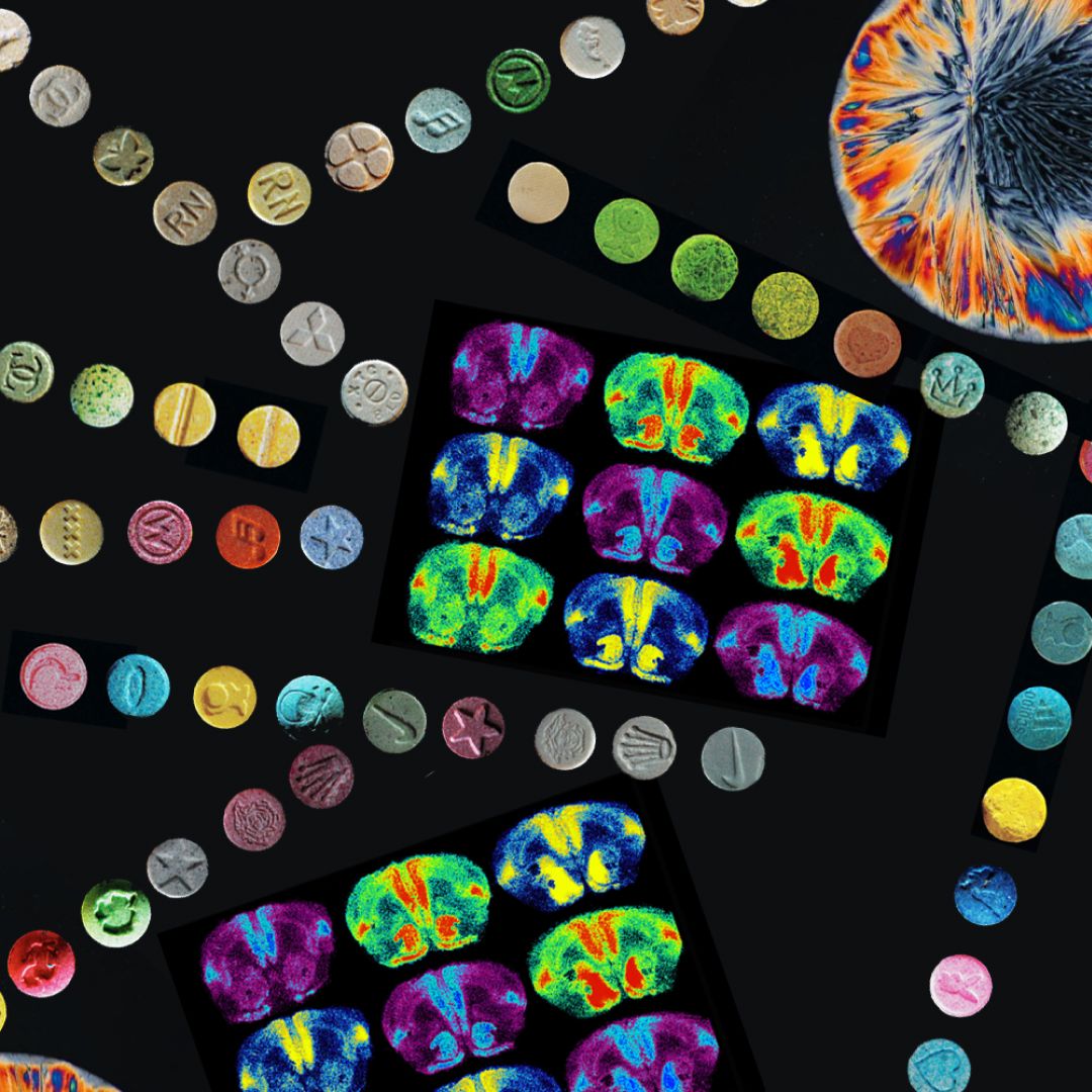 องค์การอาหารและยาสหรัฐฯ อาจพิจารณายกเลิกการใช้ ‘MDMA’ หรือ ‘ยาอี’ ในการ ...